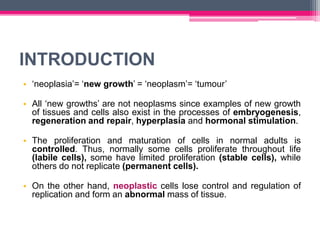 Neoplasia.pptx