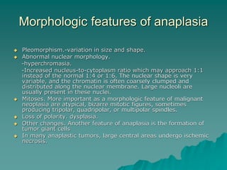 Neoplasia.ppt