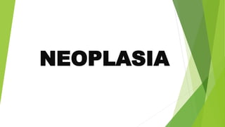 Neoplasia in human body pathology ppt.pptx