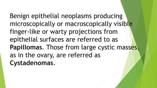 Neoplasia in human body pathology ppt.pptx