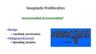 Neoplasia.pptx sangat bagus keren luarbiasa | PPTX