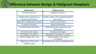 Neoplasia- Types, differences, and Methods of diagnosis. | PPTX