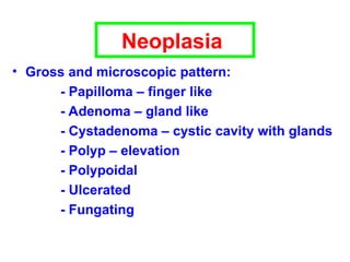 Neoplasia- Introduction for second year path | PPT