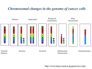 Neoplasia Clincial effects and Spread of cancer | PPT