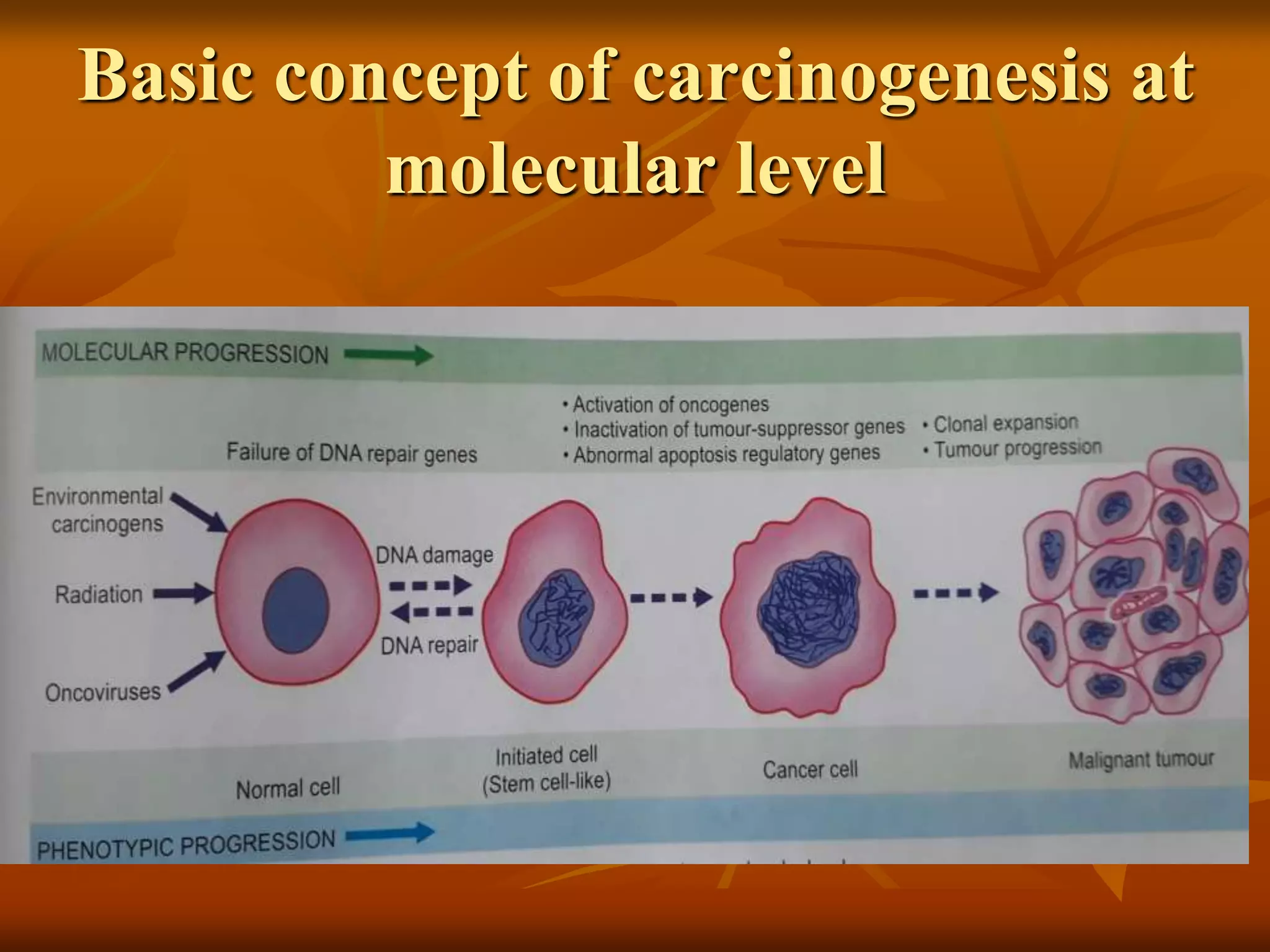 NEOPLASIA: CARCINOGENESIS | PPT