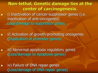 NEOPLASIA: CARCINOGENESIS | PPT