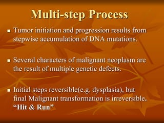 NEOPLASIA: CARCINOGENESIS | PPT