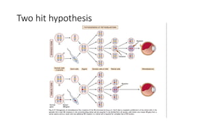 Neoplasia-5.pdfpathology Neoplasia-5.pdfpathology | PDF