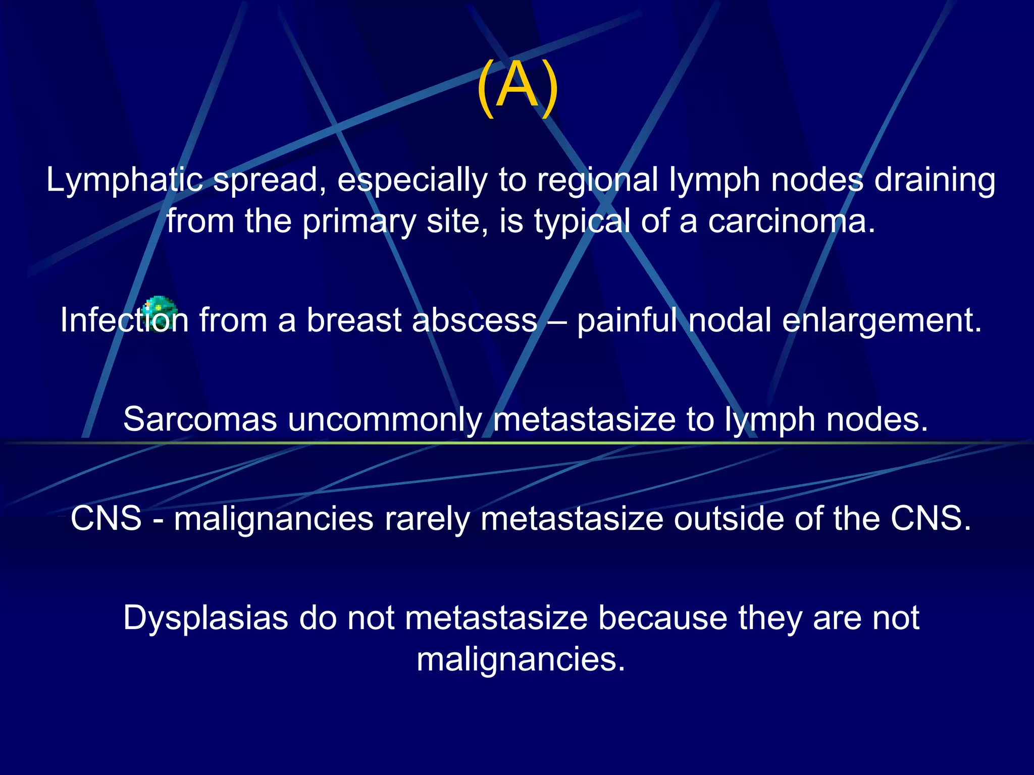 NEOPLASIA : Chemical Carcinogenesis - Lecture 6 | PPTX | Cancer ...