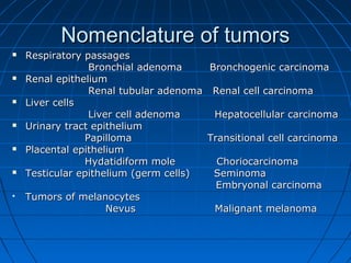 Neoplasia classification | PPT