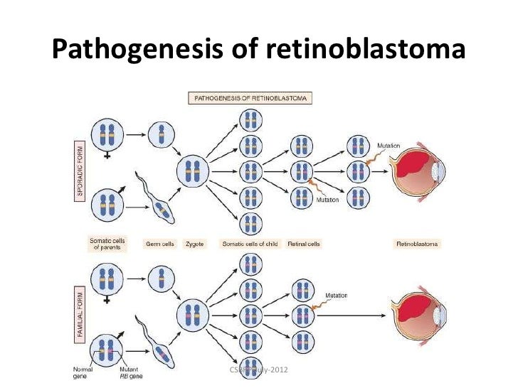 Neoplasia Robbin's path