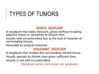 Neoplasia | PPT | Cancer | Diseases and Conditions