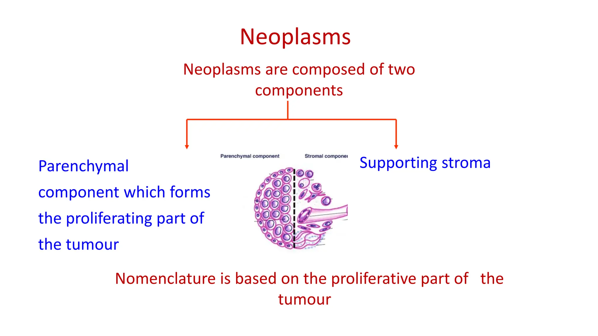 Neoplasia - Benign and malignant tumours nomenclature and difference.pdf