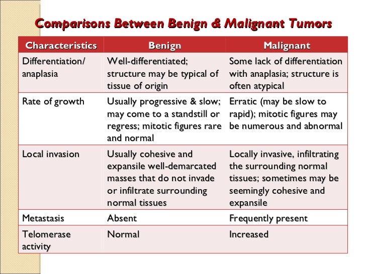 neoplasia1-091021004550-phpapp01