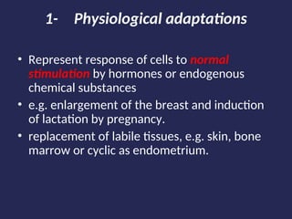 neoplasia fundamentals for medical doctors | PPT