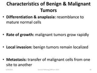 Pathology Neoplasia BPharm 2025.pdf notes | PDF