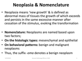 Pathology Neoplasia BPharm 2025.pdf notes | PDF