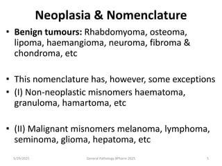 Pathology Neoplasia BPharm 2025.pdf notes | PDF