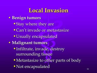 Neoplasia by Dr. Aryan | PPTX
