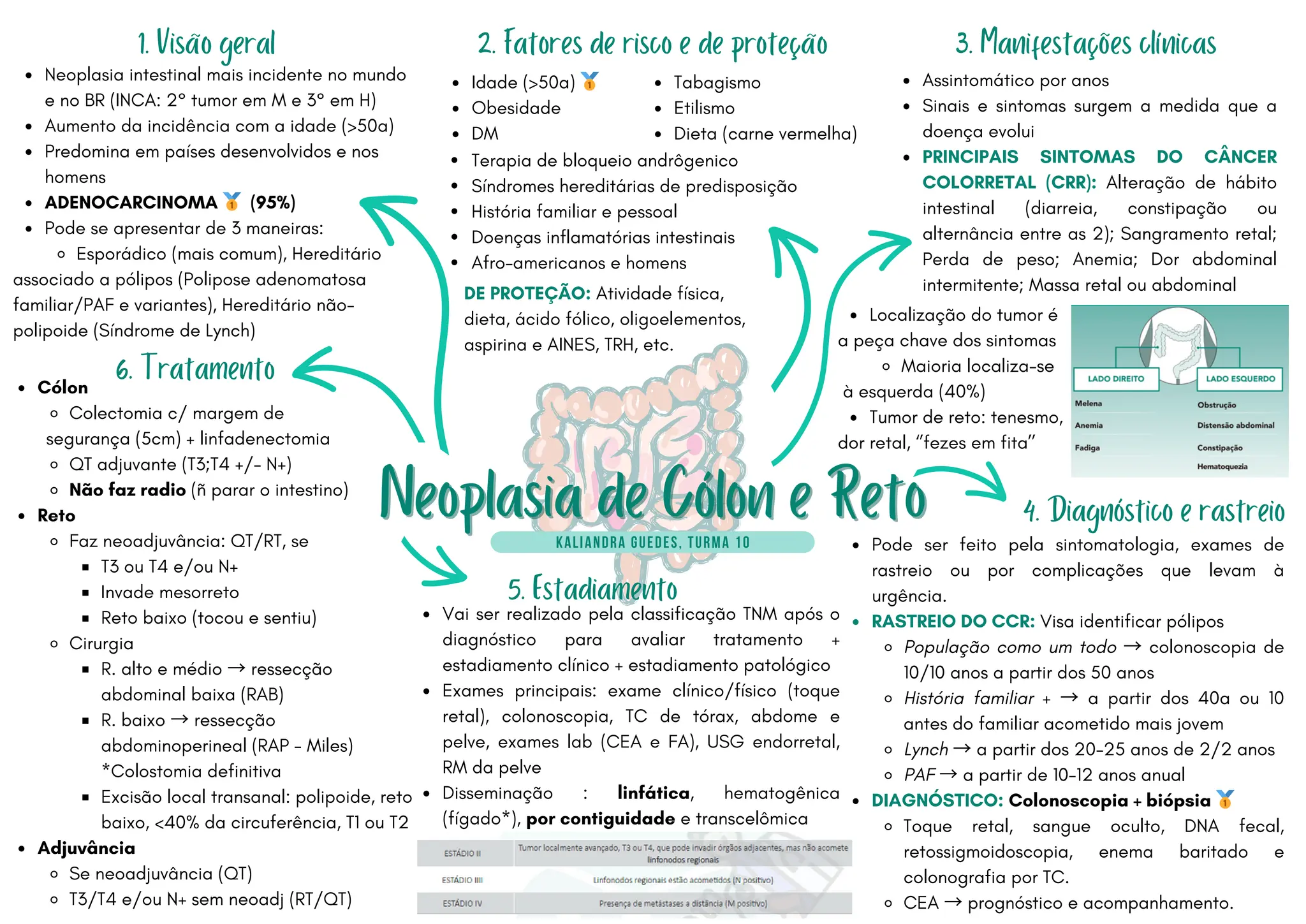 Mapa Mental de Neoplasia de Cólon e Reto | PDF