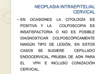 Neoplasia Intraepitelial Cervical (NIC) | PPTX