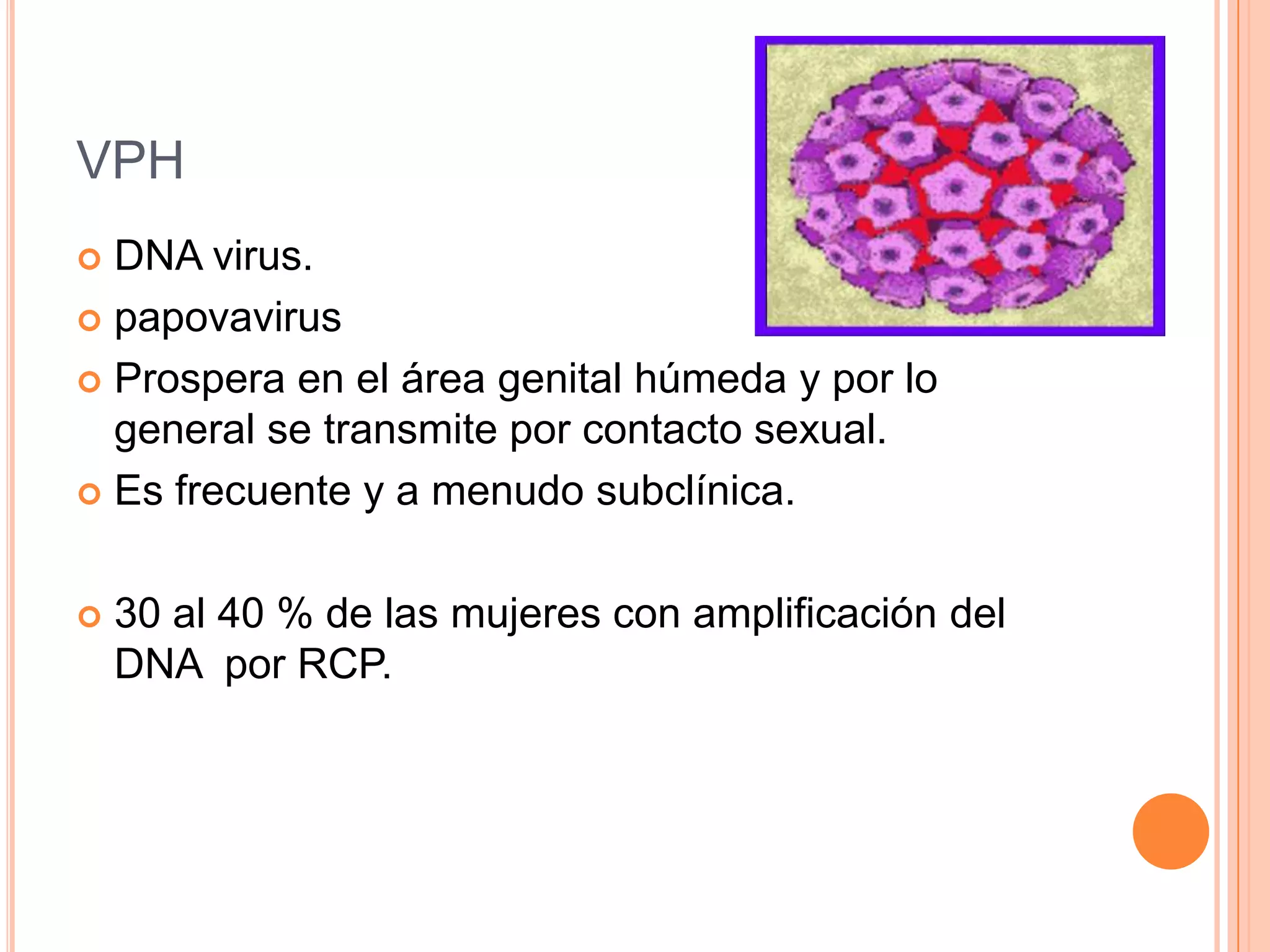Neoplasia intraepitelial cervical (leibg y leiag) | PPTX