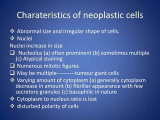 Neoplasia lecture | PPTX