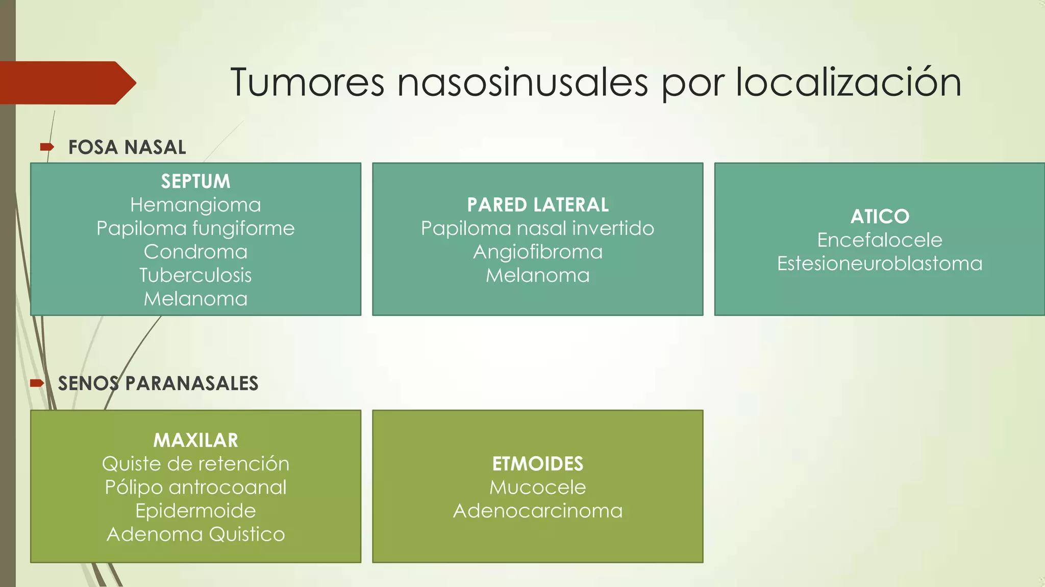 Neoplasias de la nariz y senos paranasales | PPTX | Cancer | Diseases ...