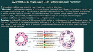 Neoplasia basics | PPTX