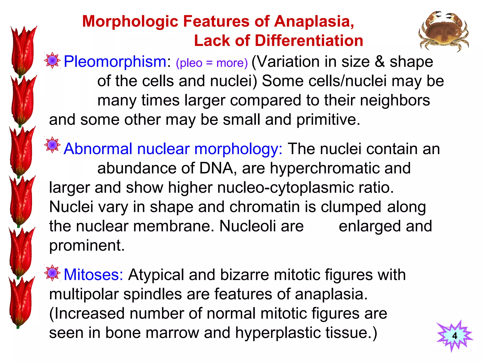 Neoplasia, two | PPT
