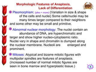 Neoplasia, two | PPT