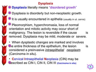 Neoplasia, two | PPT
