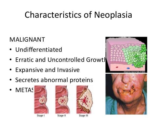 Neoplasma 1