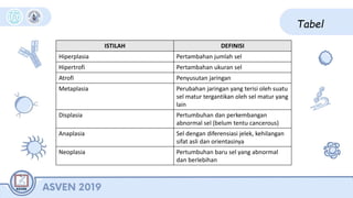 Neoplasma Patological Anatomy medical faculty.pptx