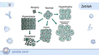 Neoplasma Patological Anatomy medical faculty.pptx