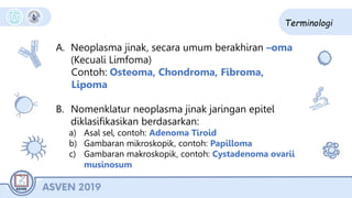 Neoplasma Patological Anatomy medical faculty.pptx