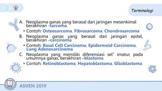 Neoplasma Patological Anatomy medical faculty.pptx