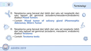 Neoplasma Patological Anatomy medical faculty.pptx