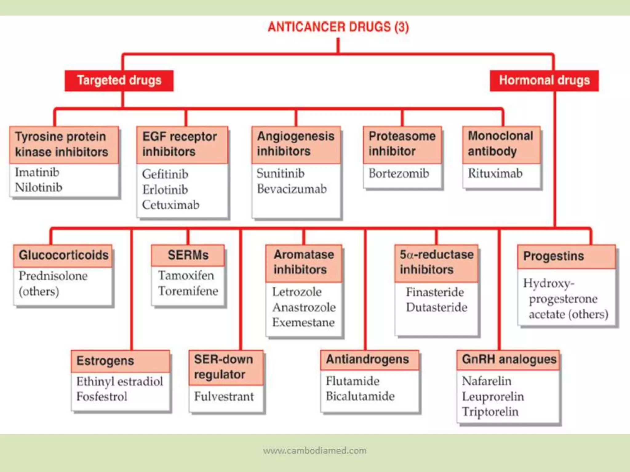 Neoplasm icd 10 guideline | PPTX