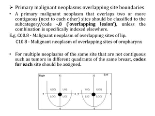 Neoplasm icd 10 guideline | PPT