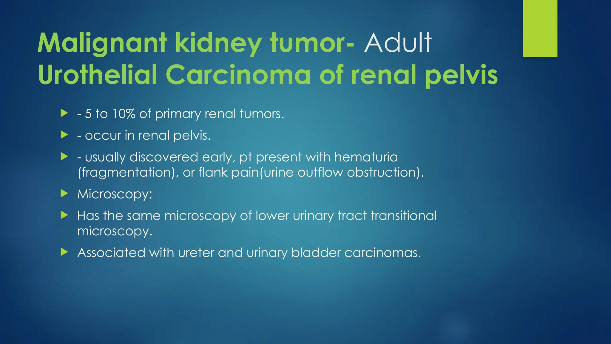 neoplasm of the kidney renal pathology (2).pptx