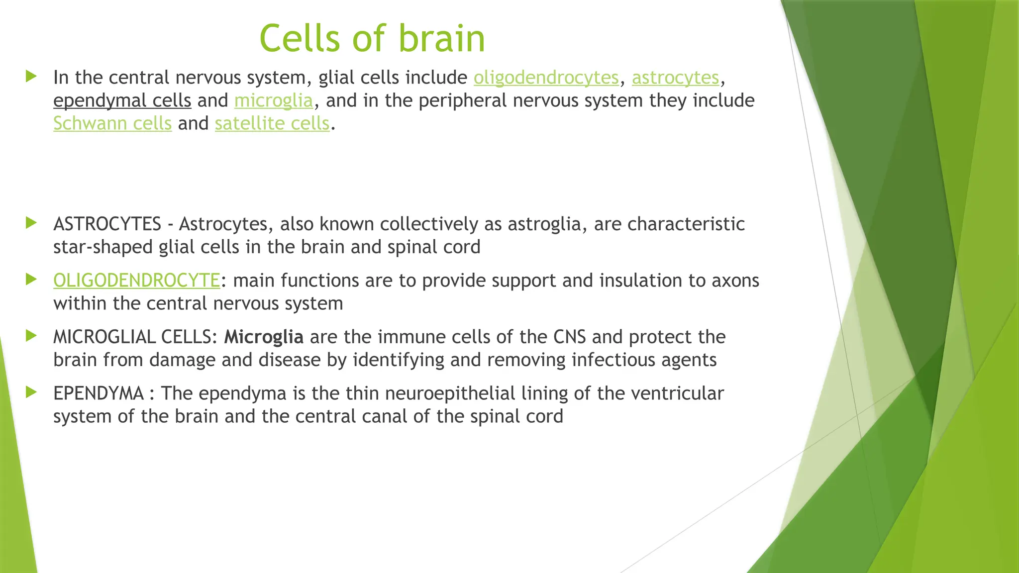 Neoplastic brain tumors in children.pptx