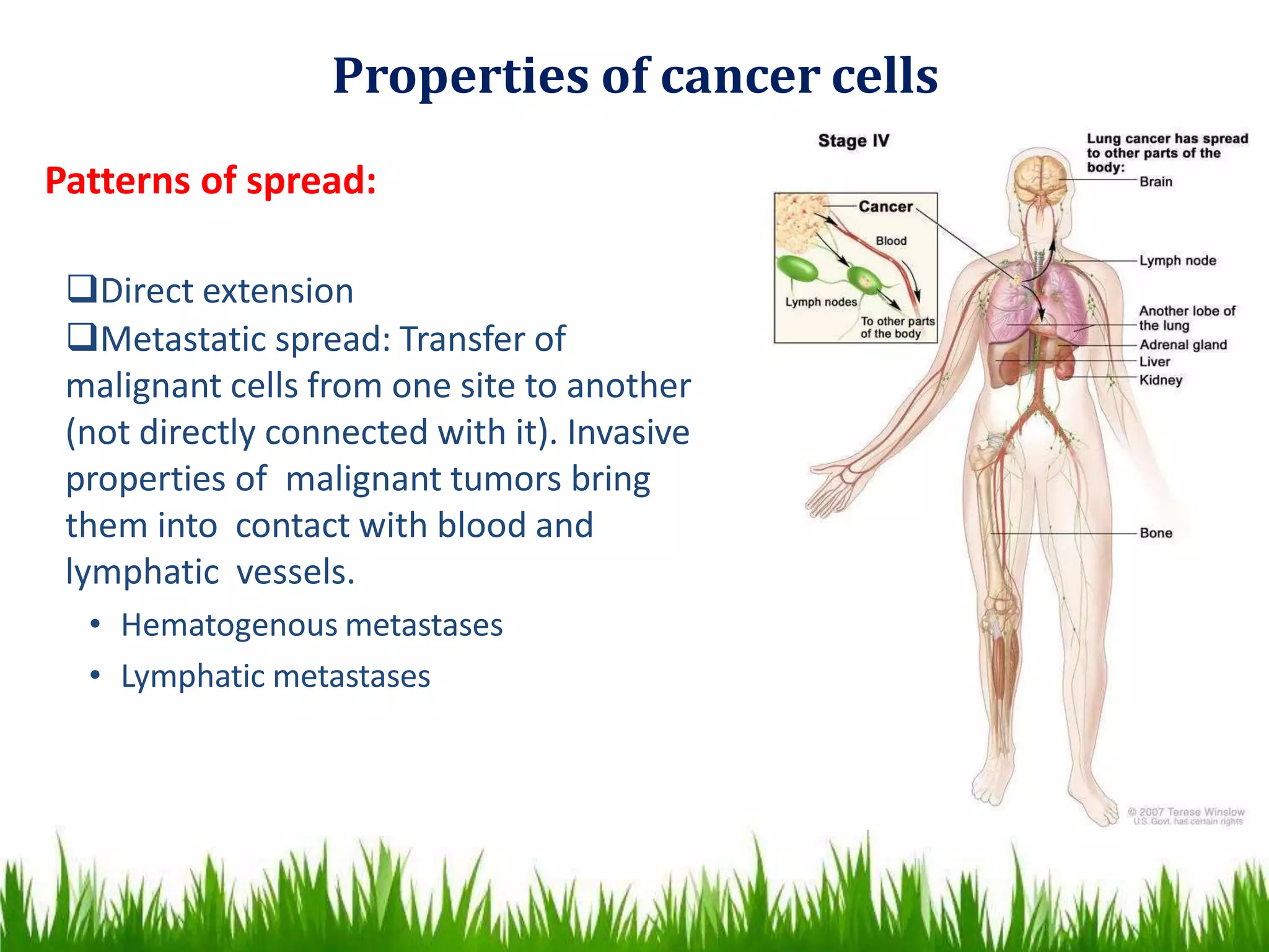 Neoplastic diseases | PPTX