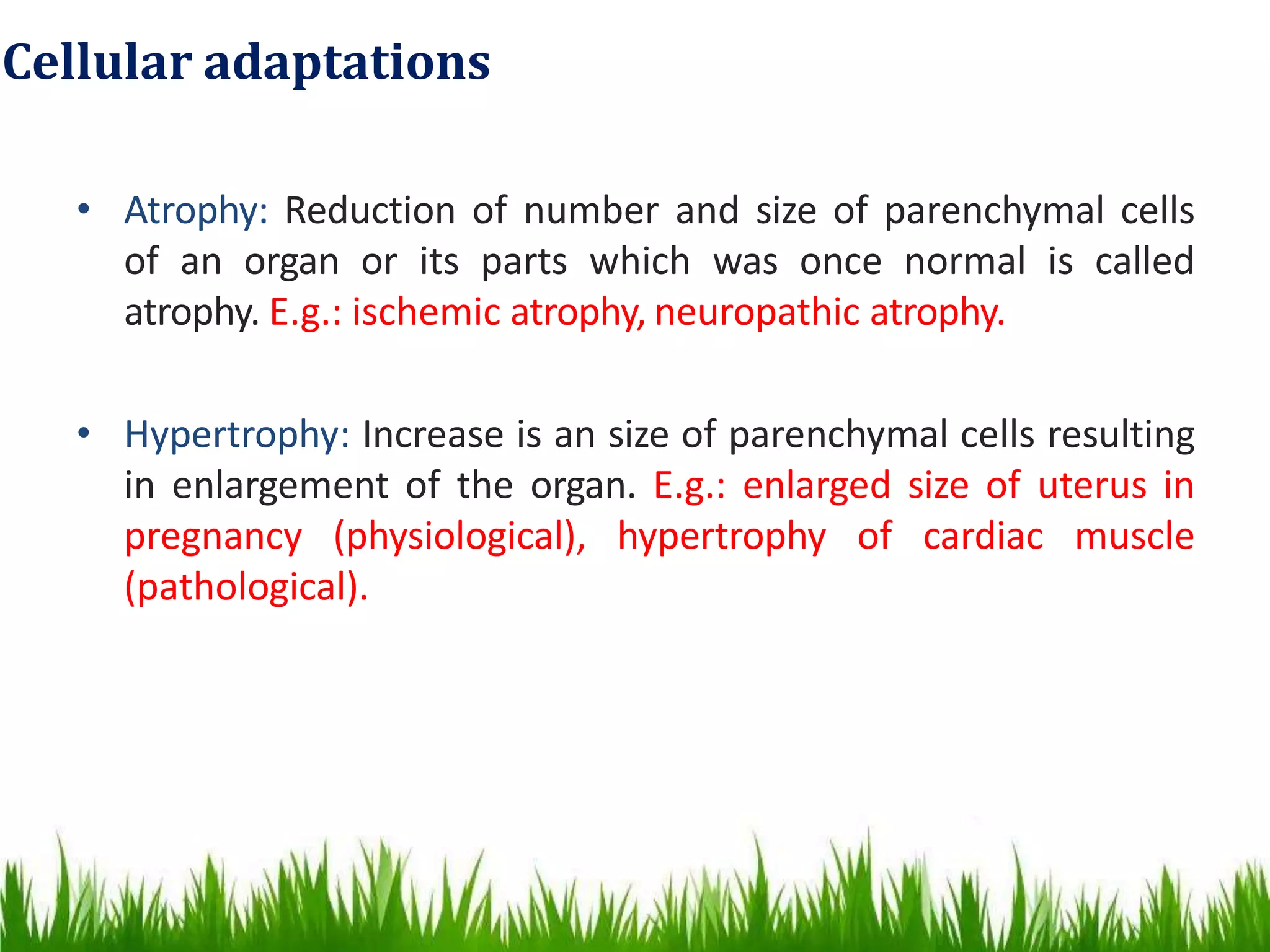 Neoplastic diseases | PPTX