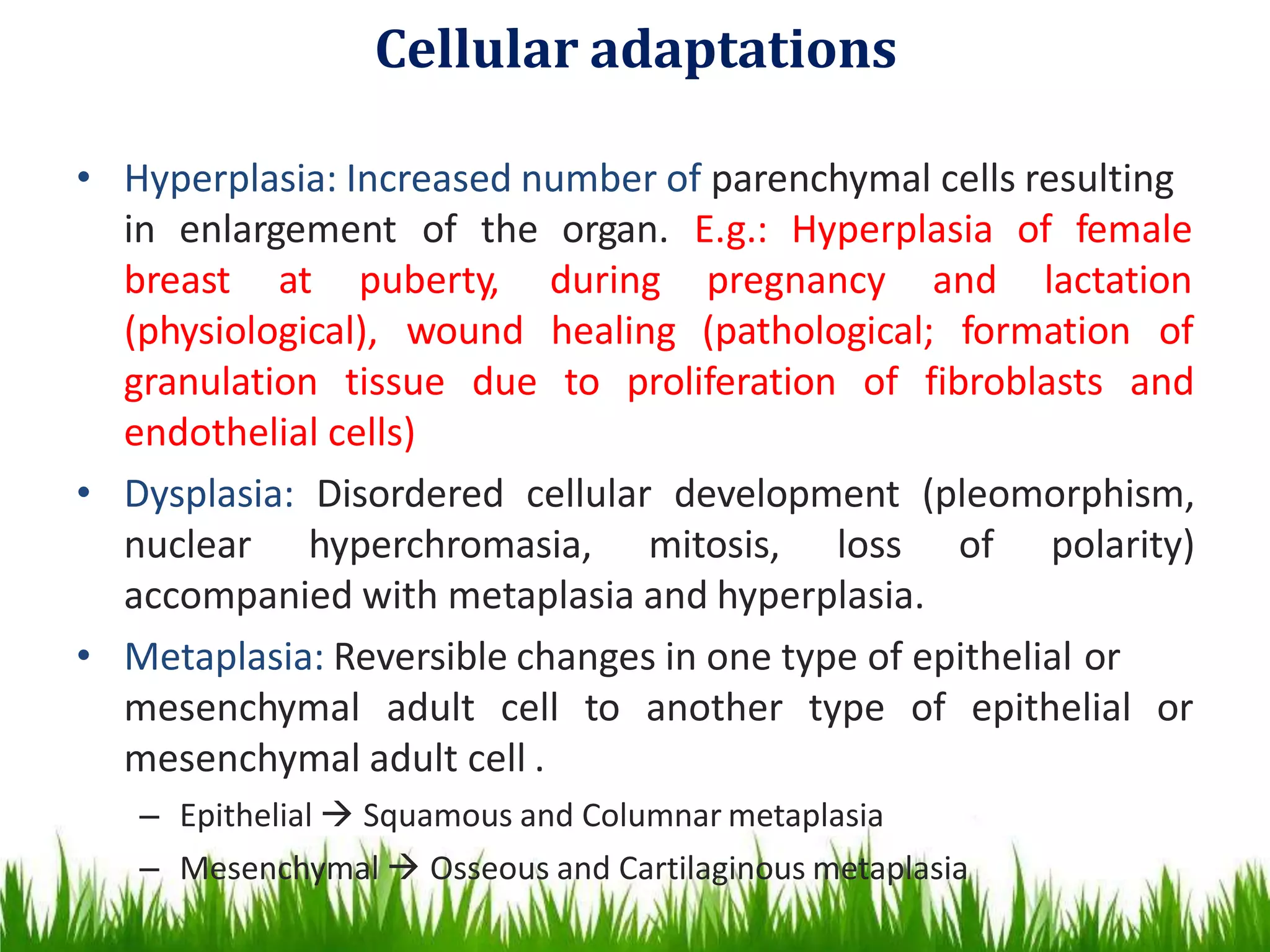 Neoplastic diseases | PPTX