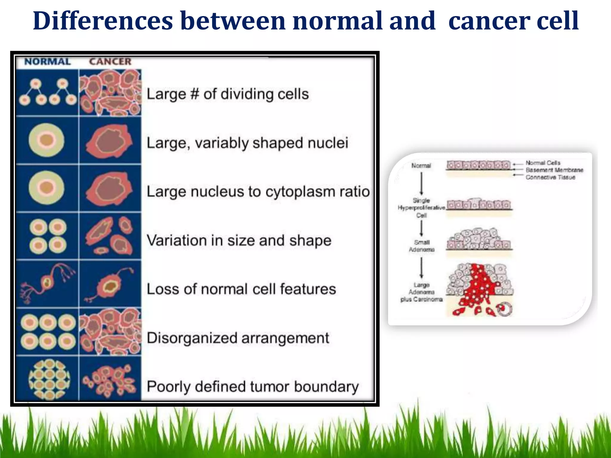 Neoplastic diseases | PPTX
