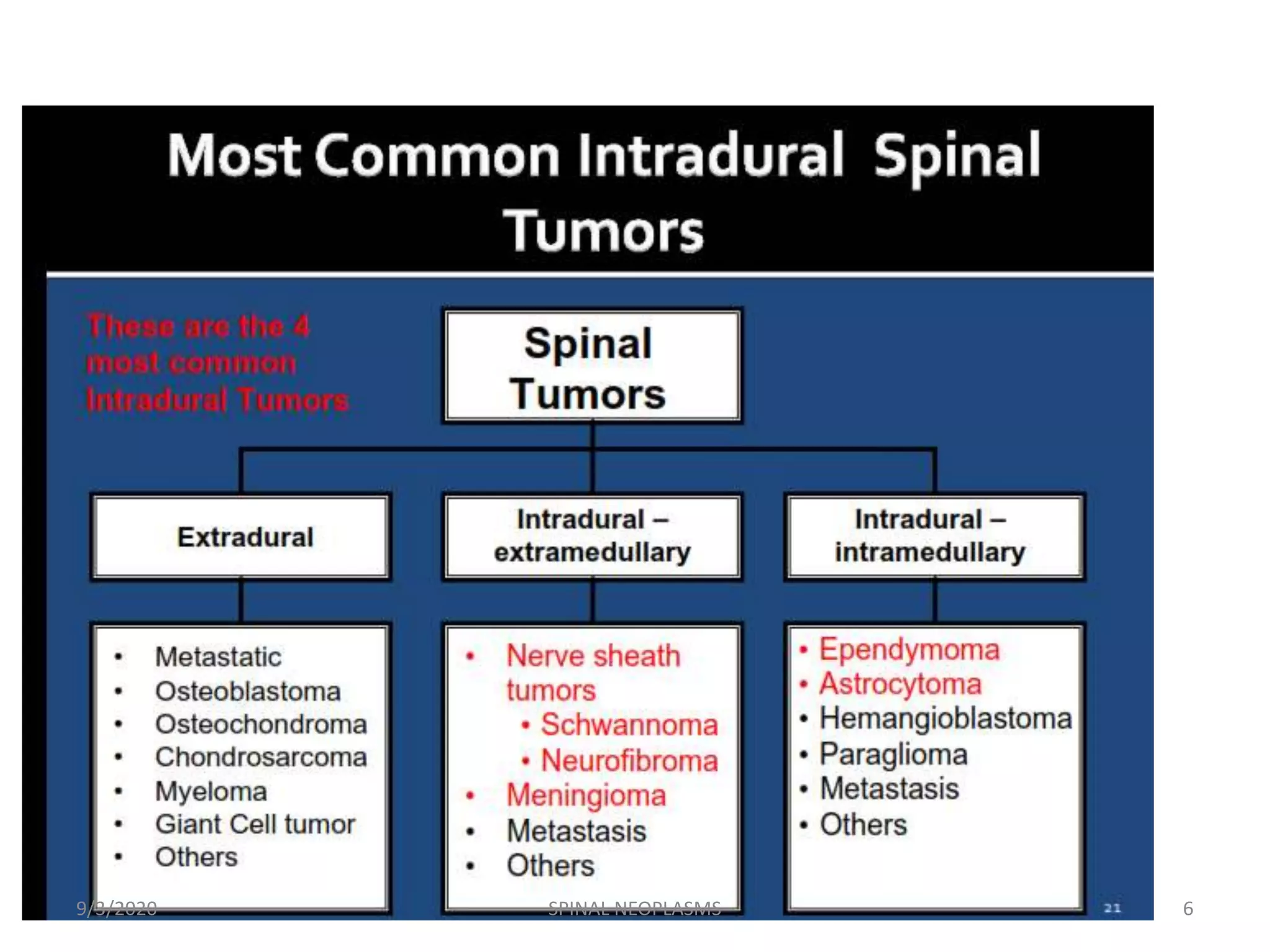 Neoplastic disorders of spinal cord | PPTX