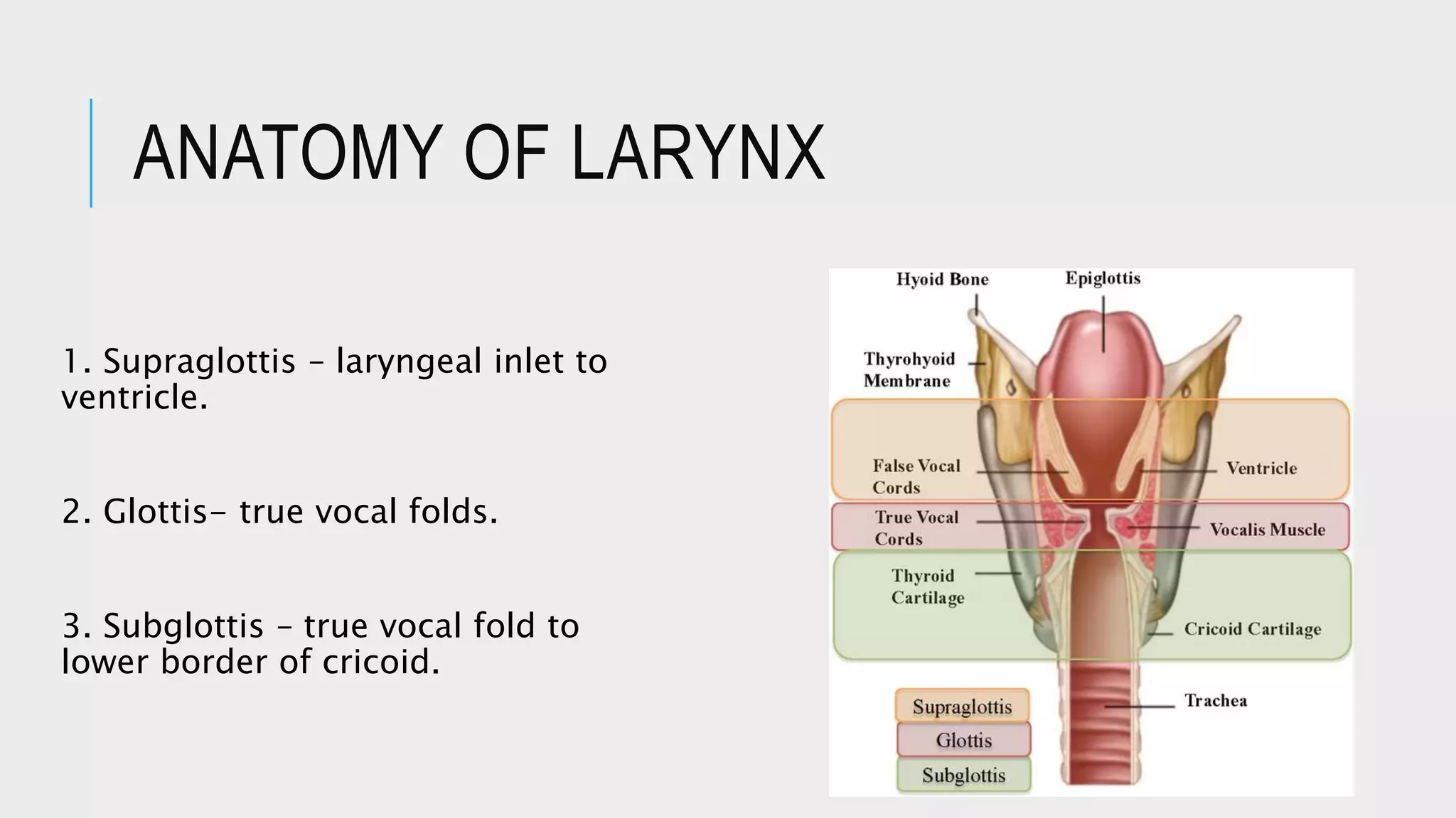 Malignant lesions of larynx | PPTX