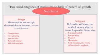 Neoplasia- and cancer related presentation | PPTX | Cancer | Diseases ...