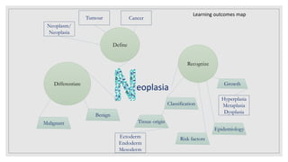 Neoplasia- and cancer related presentation | PPTX | Cancer | Diseases ...